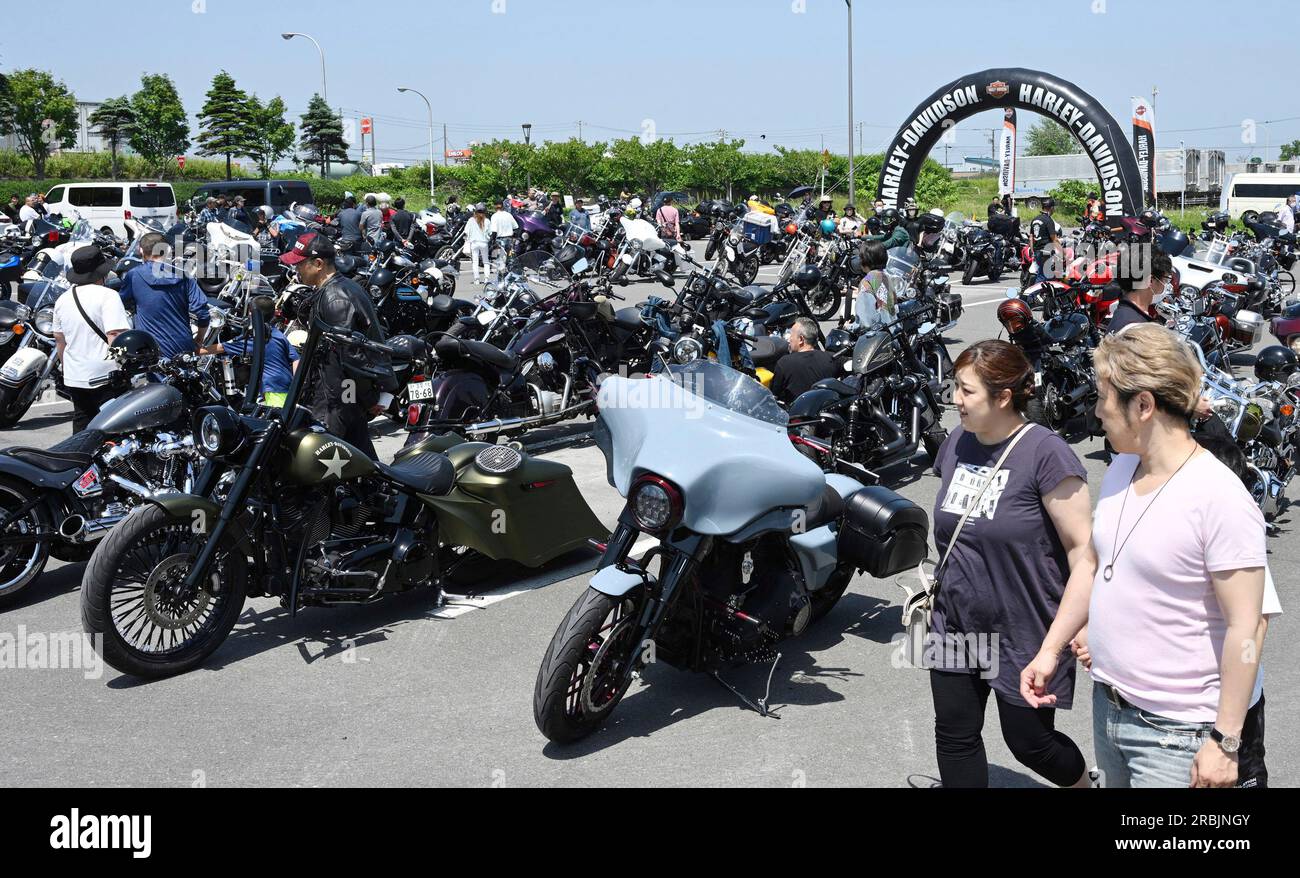 Several kinds of Harley-Davidson motorcycles and bikes are displayed in ...
