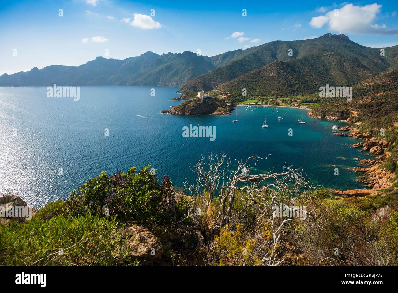 Rocky coast and red cliffs, Bay of Girolata, Girolata, La Scandola ...