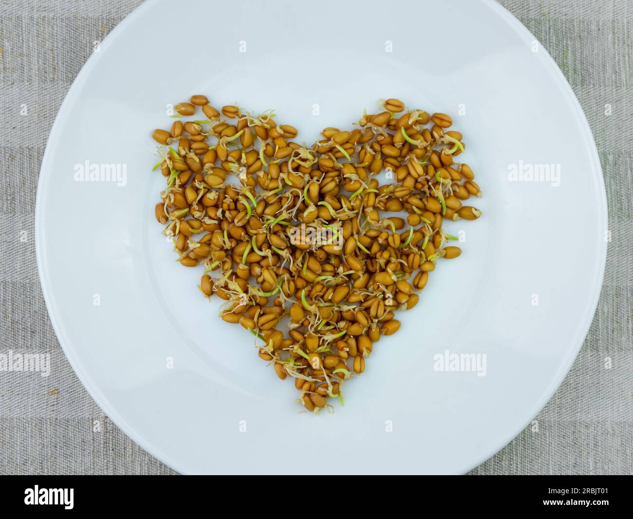 Sprouted wheat grains heart white plate linen background. Macrobiotic ...