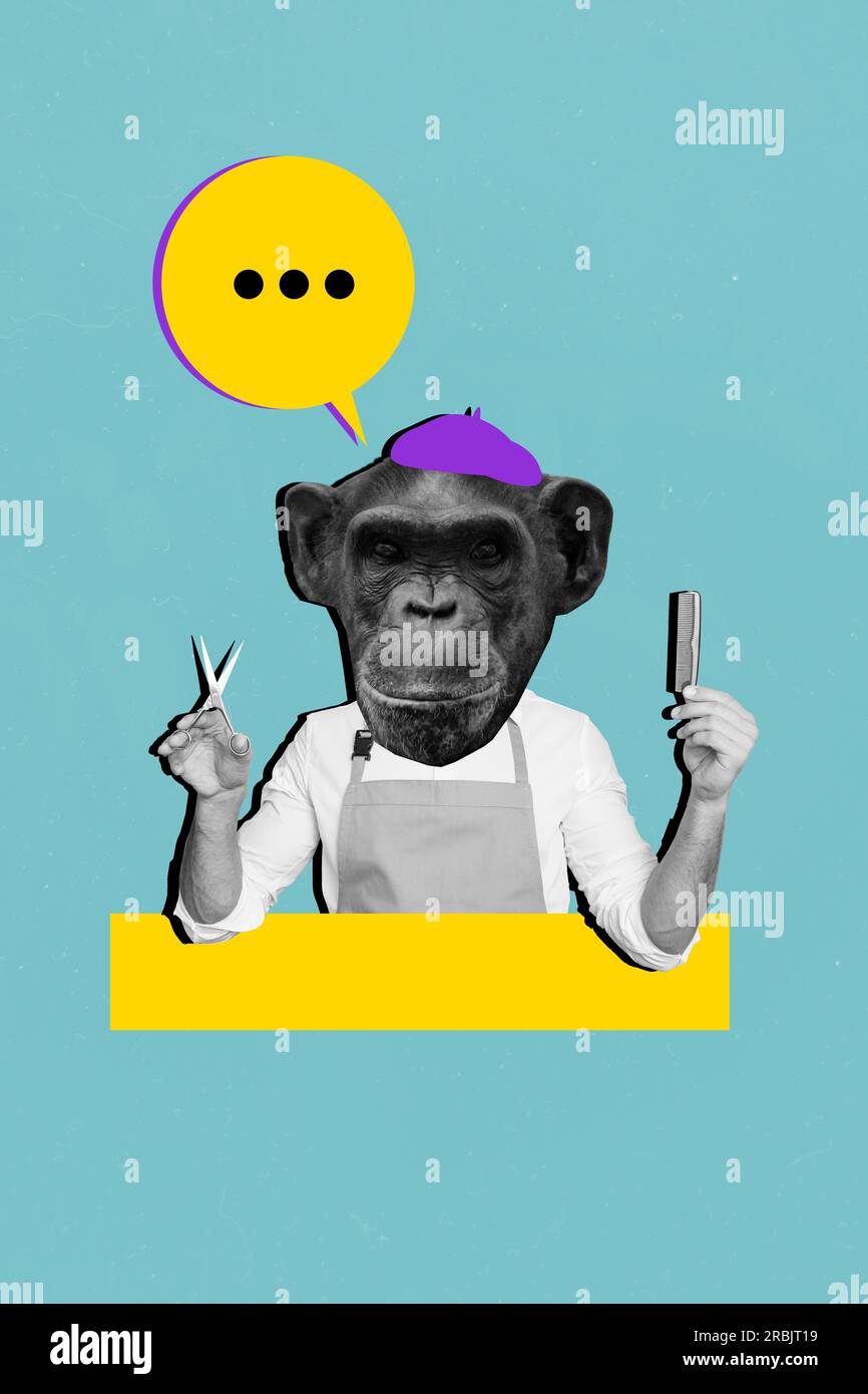 Portrait illustration collage of monkey animal hairdresser barbershop ...