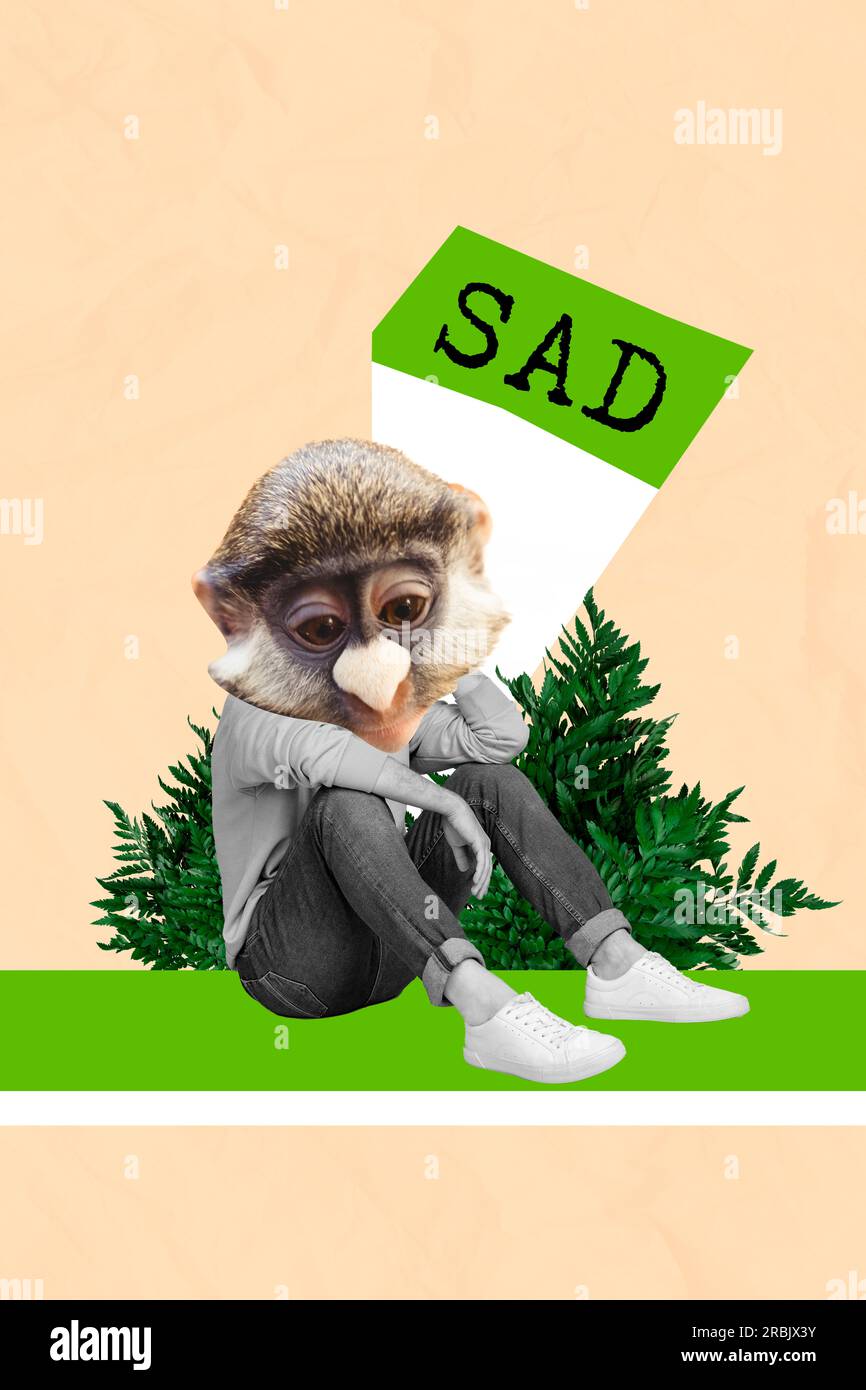 Artwork magazine collage picture of stressed depressed monkey head guy ...