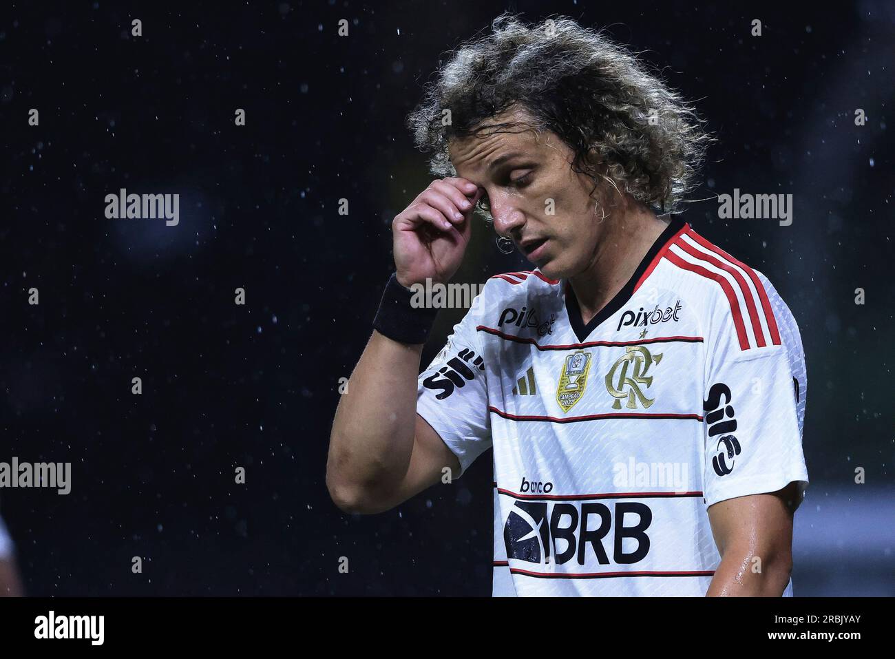 SP - SAO PAULO - 07/08/2023 - BRAZILEIRO A 2023, PALMEIRAS X FLAMENGO ...