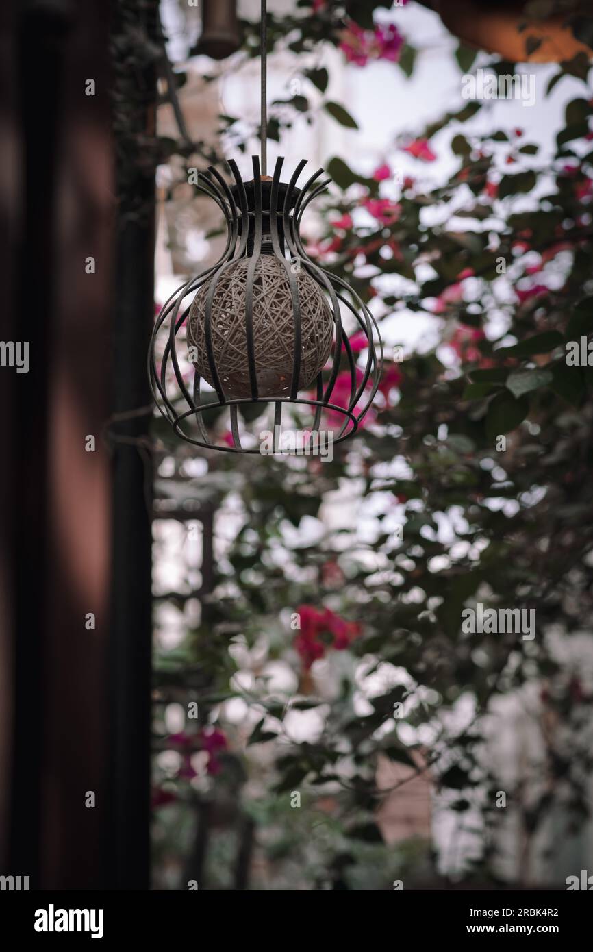Photo of Hanging light bulbs with depth of field. Modern art Stock ...