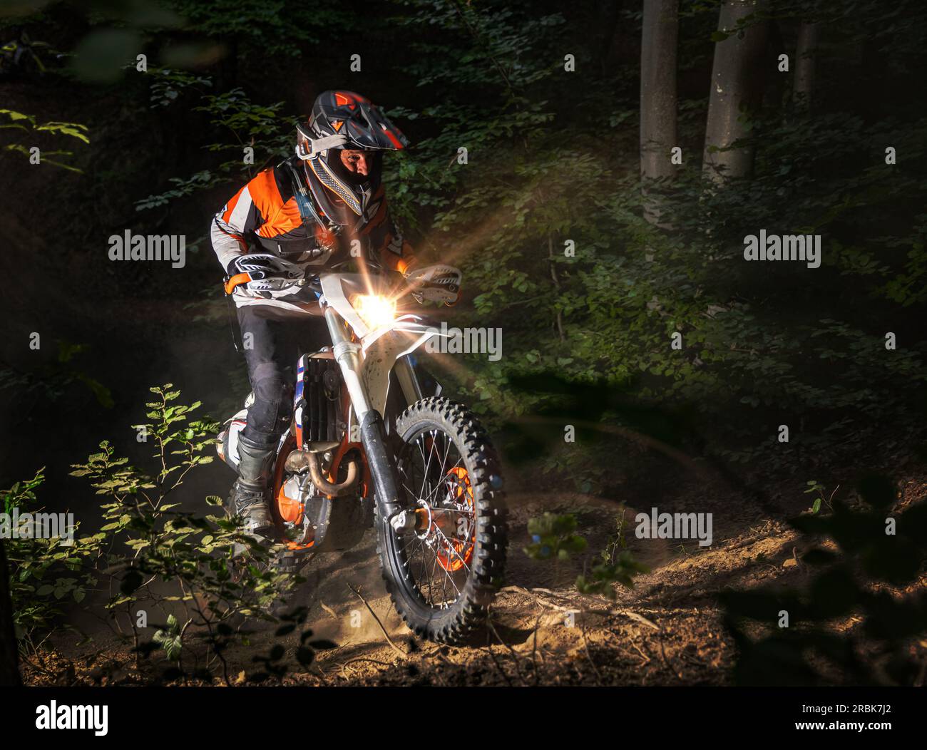 Adventure extreme forest hi-res stock photography and images - Alamy