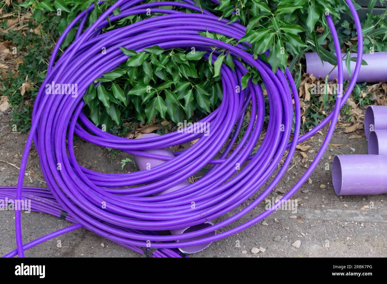 Coiled purple network cable ready for installation in urban street uk ...