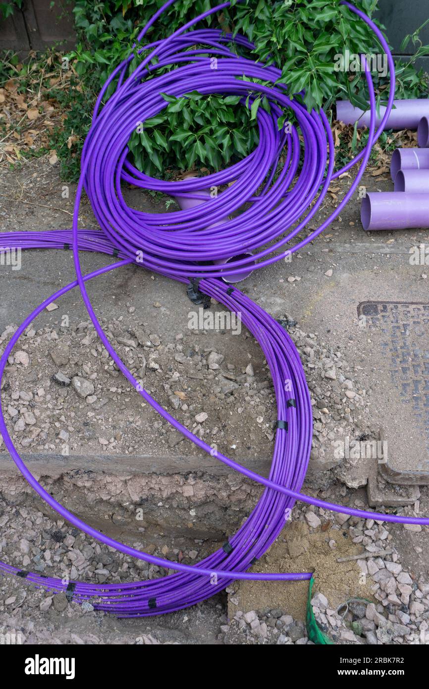 Coiled purple network cable ready for installation in urban street uk ...