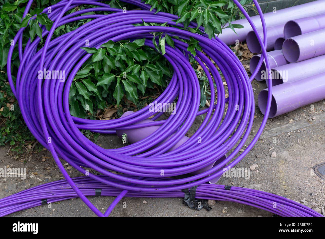 Coiled purple network cable ready for installation in urban street uk ...