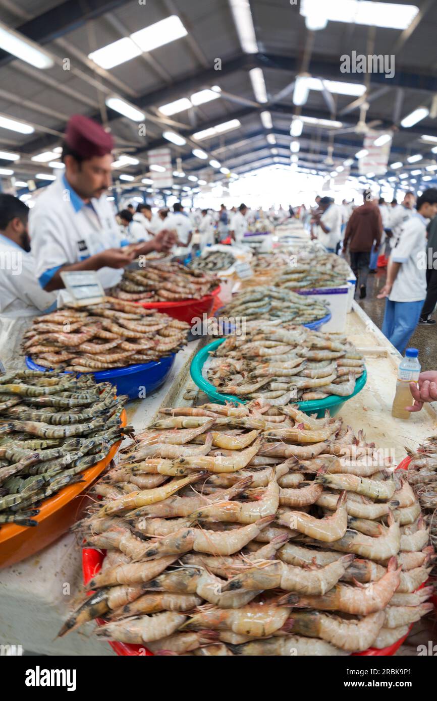 UAE, Dubai, prawns for sale at the Shindagha fish market Stock Photo ...