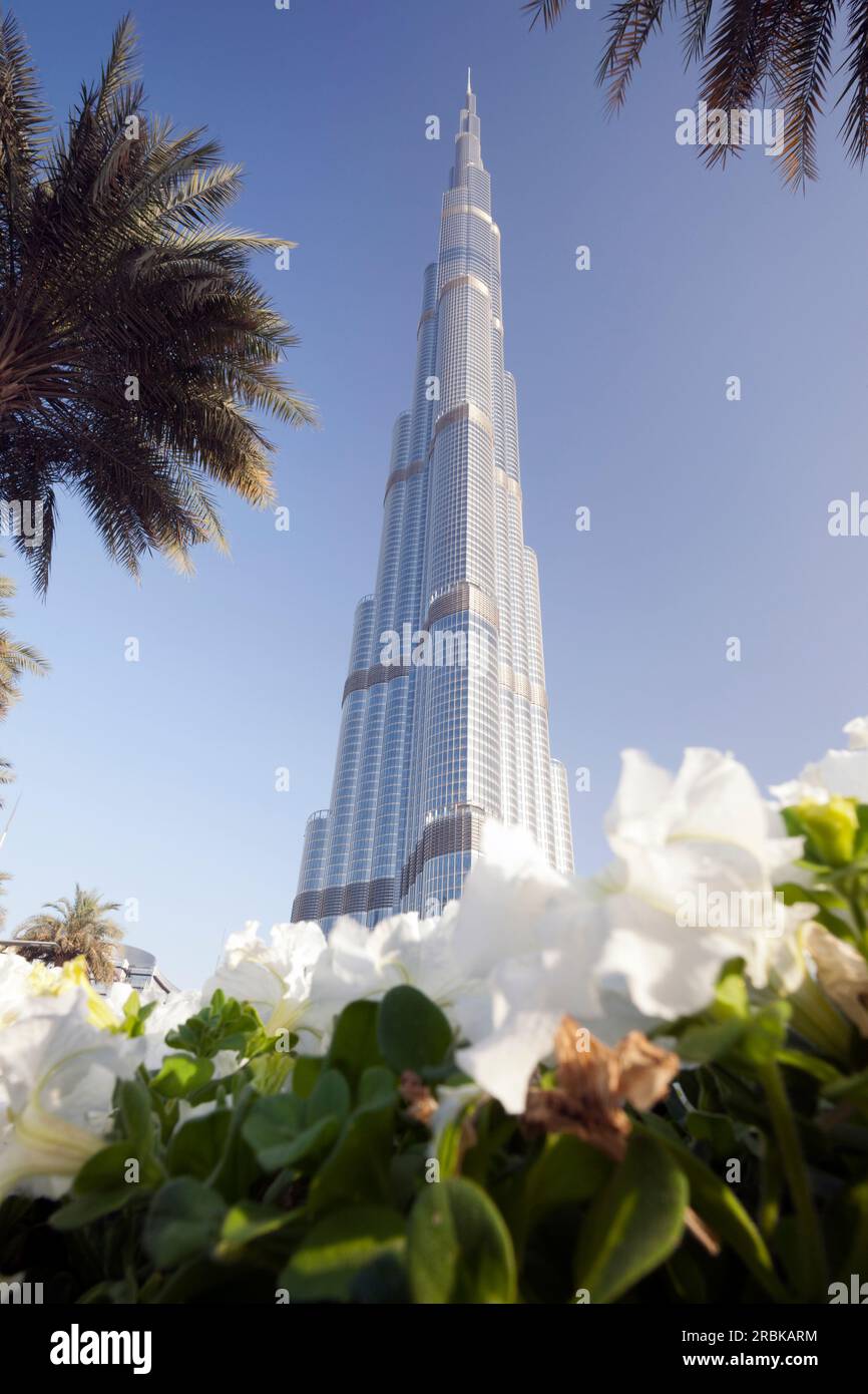 UAE, Dubai, the iconic Burj Khalifa skyscraper, the highest building in ...