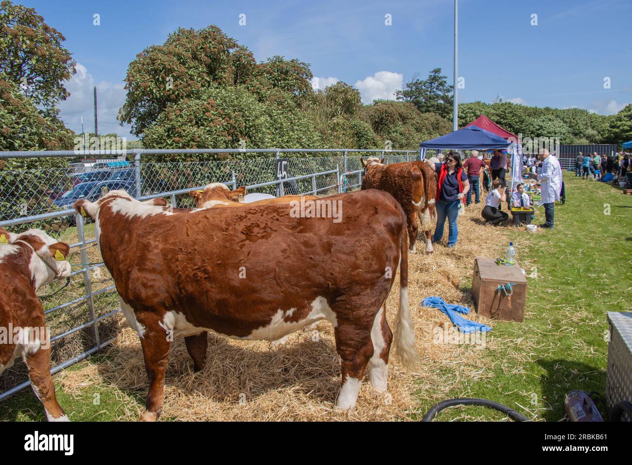 Barryroe gaa grounds hi-res stock photography and images - Alamy