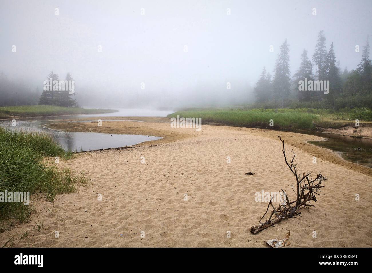 Fog on the beach hi-res stock photography and images - Alamy