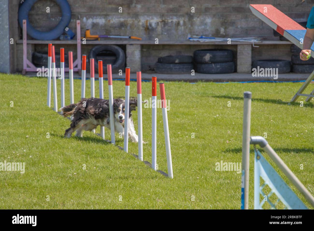 Barryroe gaa grounds hi-res stock photography and images - Alamy