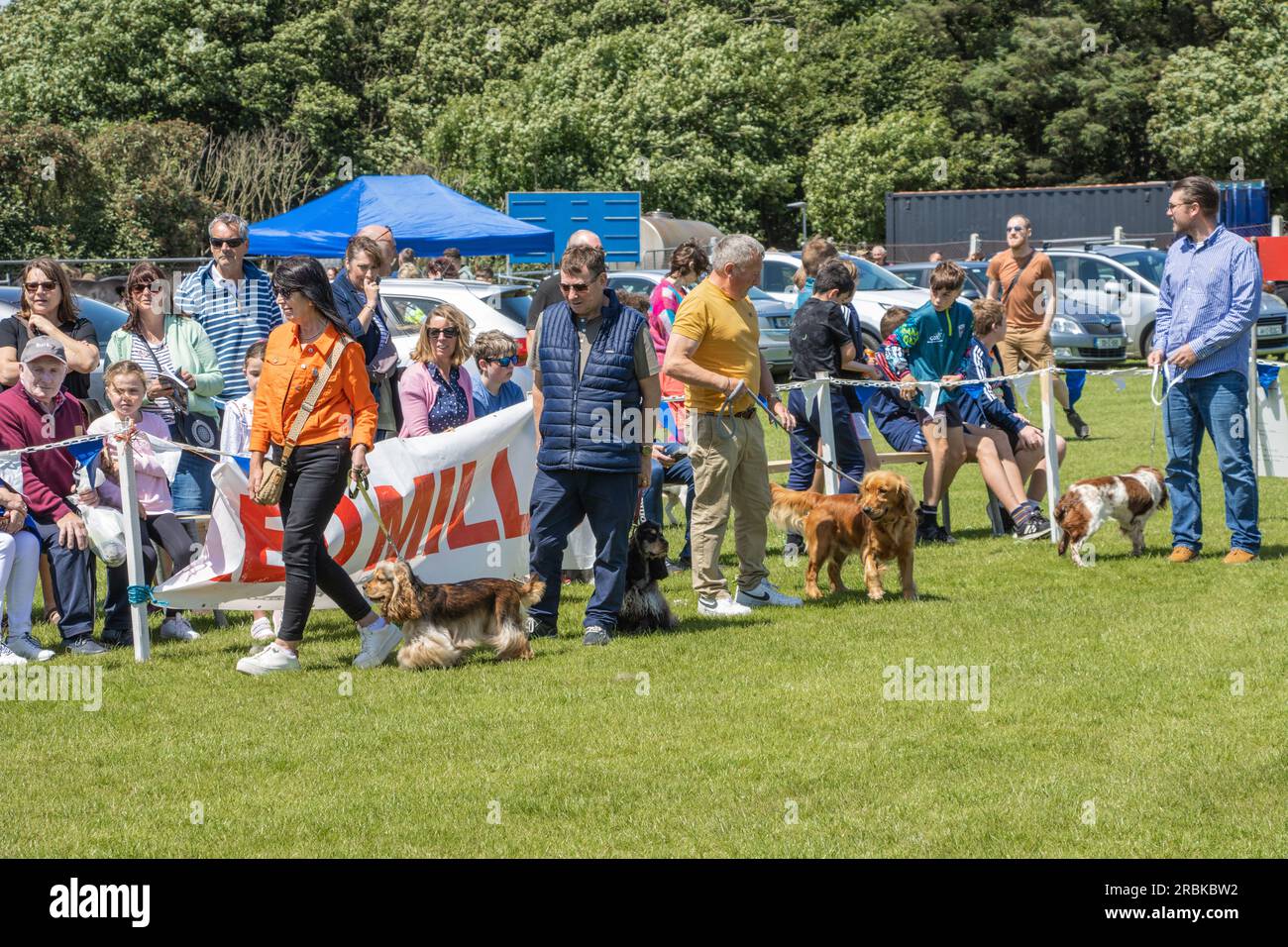 Barryroe Show, West Cork, July 2023 Stock Photo - Alamy