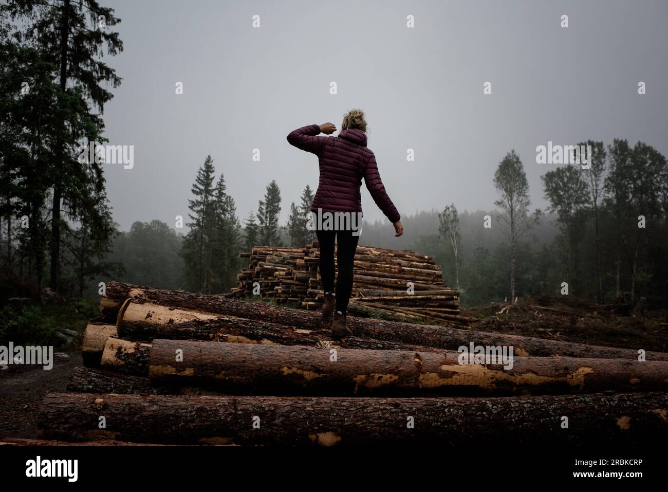 woman climbing a pile of logs in the forest Stock Photo - Alamy