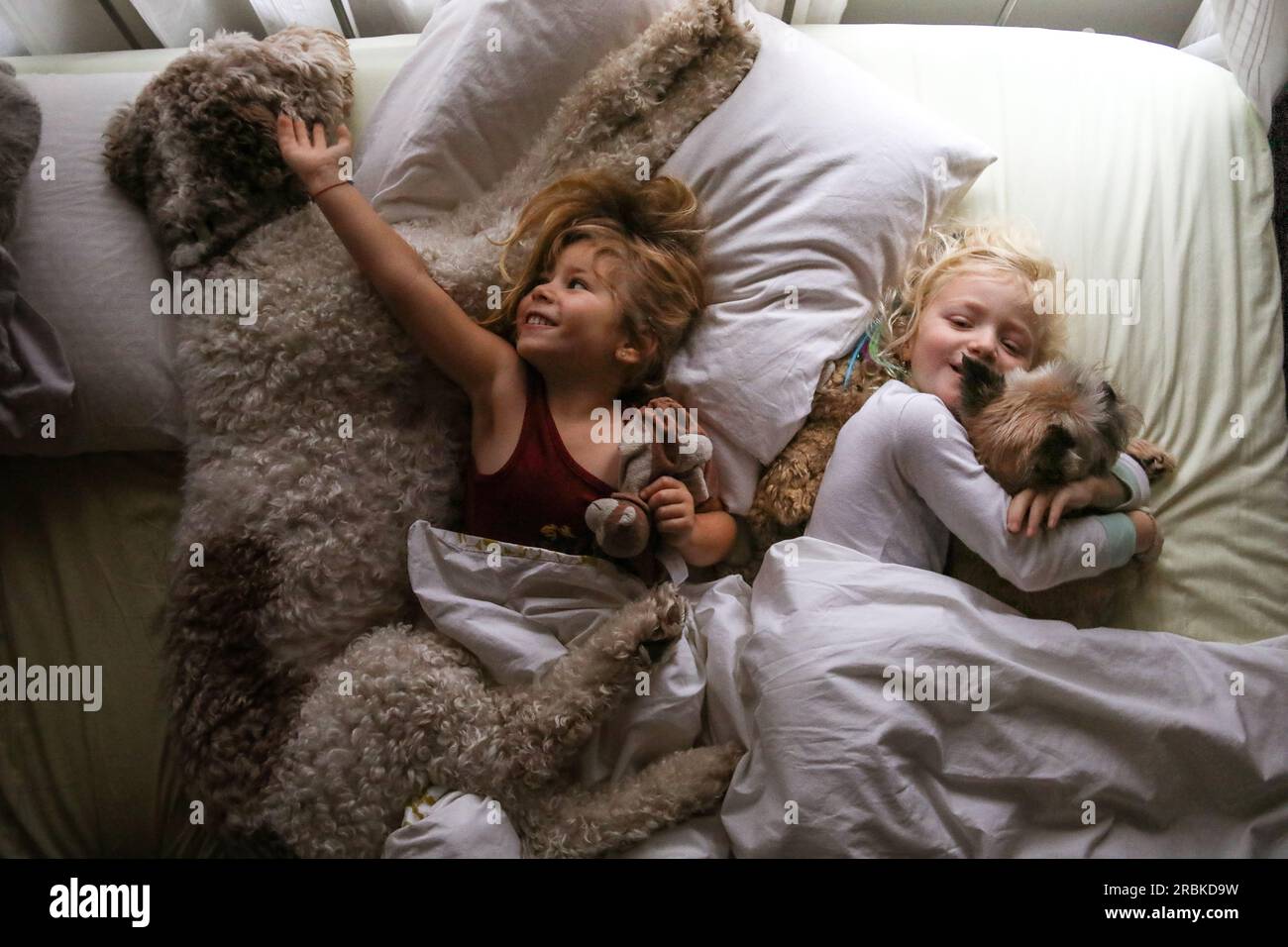 Girls and dogs hi-res stock photography and images - Alamy