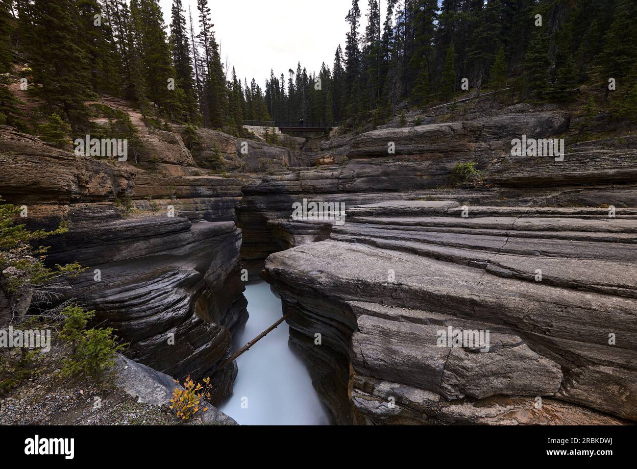 The Mistaya River flows through Mistaya Canyon in Banff National Park ...
