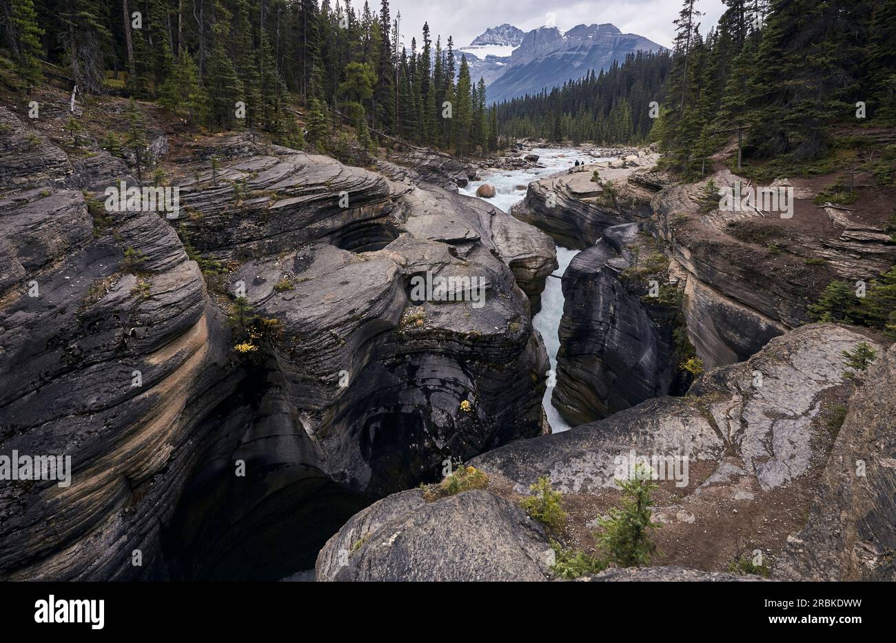 The Mistaya River flows through Mistaya Canyon in Banff National Park ...