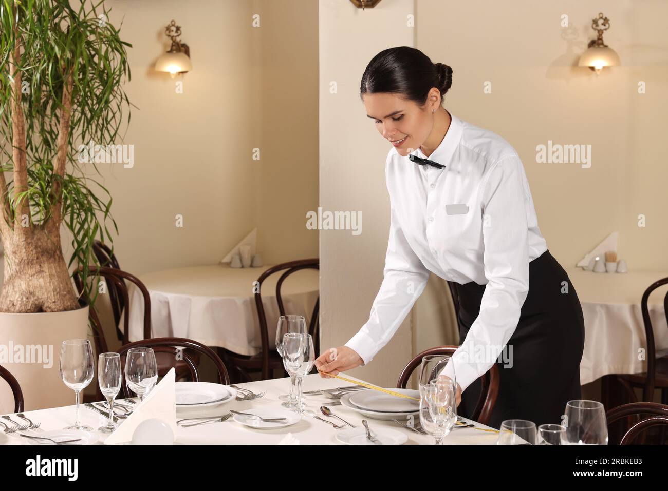 Woman setting table in restaurant. Professional butler courses Stock ...