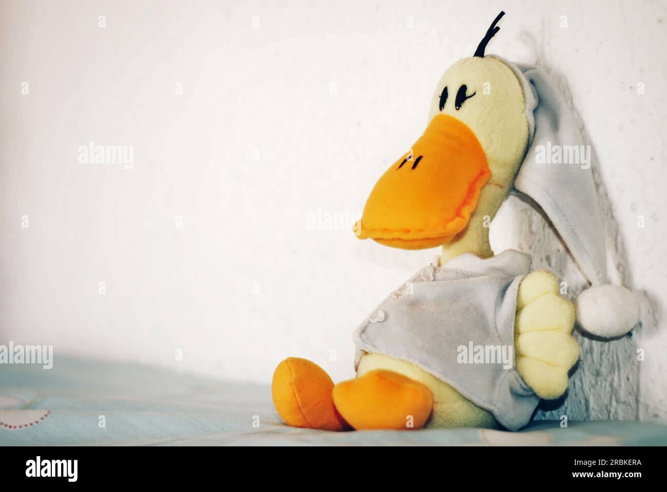 Teddy duck on a white background Stock Photo - Alamy