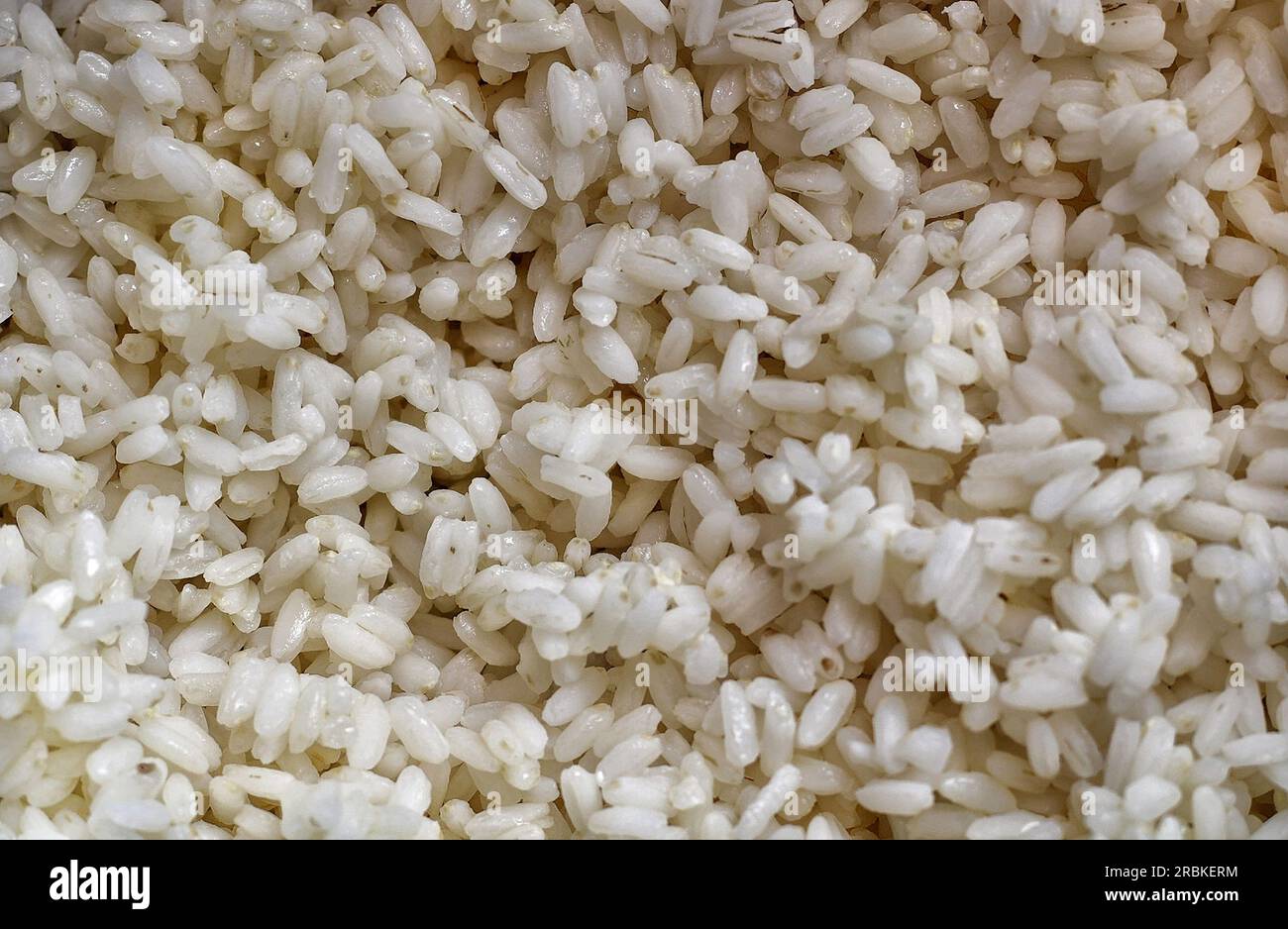 Grains white background hi-res stock photography and images - Alamy