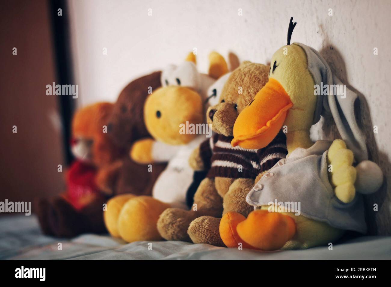 Photo of some stuffed animals Stock Photo - Alamy