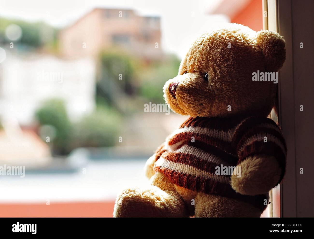 Teddy portrait hi-res stock photography and images - Alamy