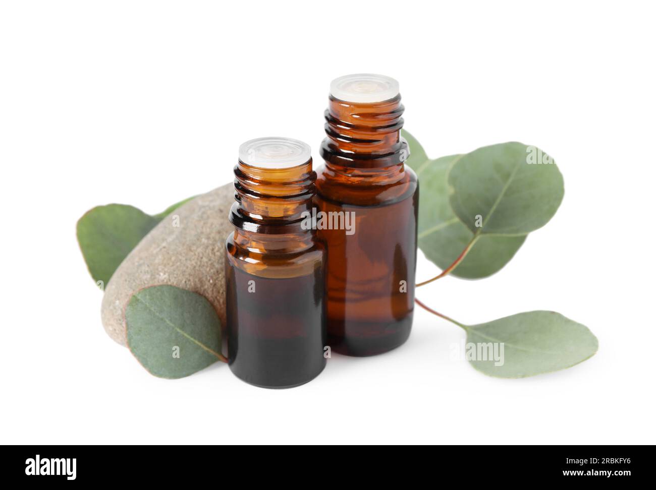 Bottles of eucalyptus essential oil, stone and plant branches on white ...