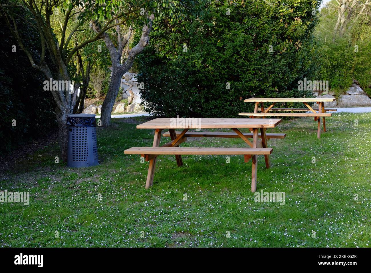 Wooden benches and tables on green grass in recreational area Stock ...