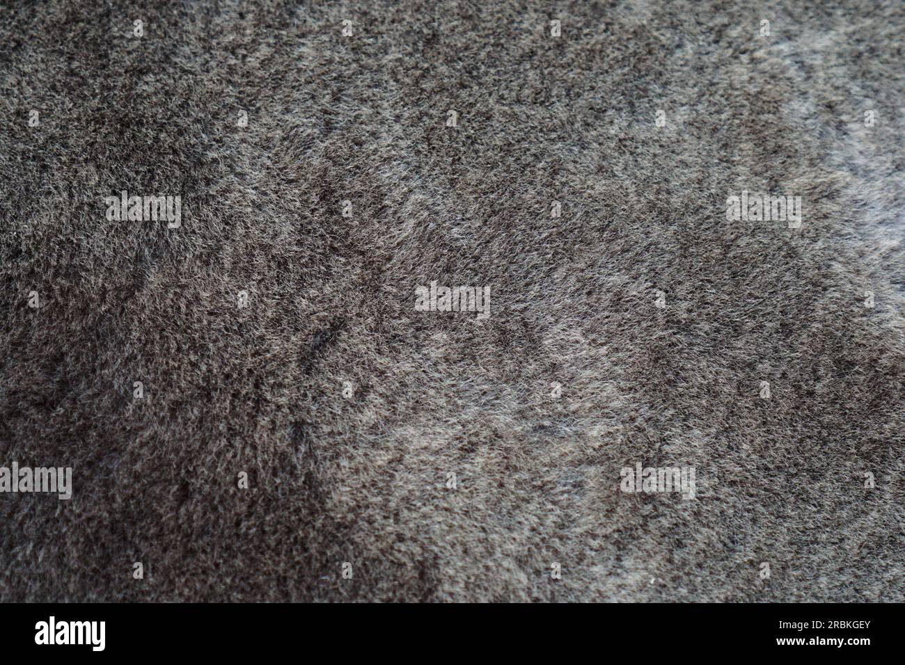 Goat hair texture hi-res stock photography and images - Alamy