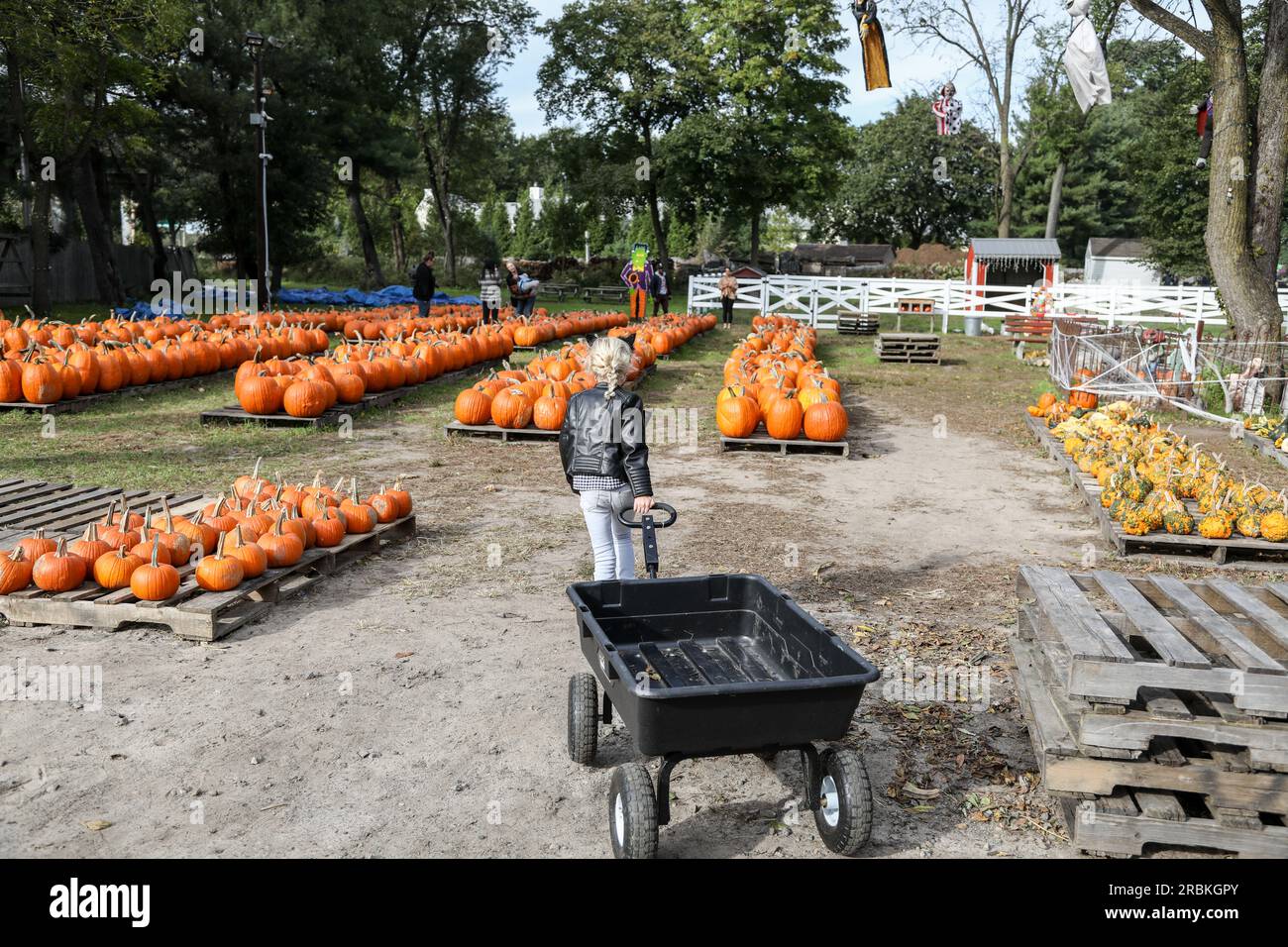 Pulling pumpkin in wagon hi-res stock photography and images - Alamy