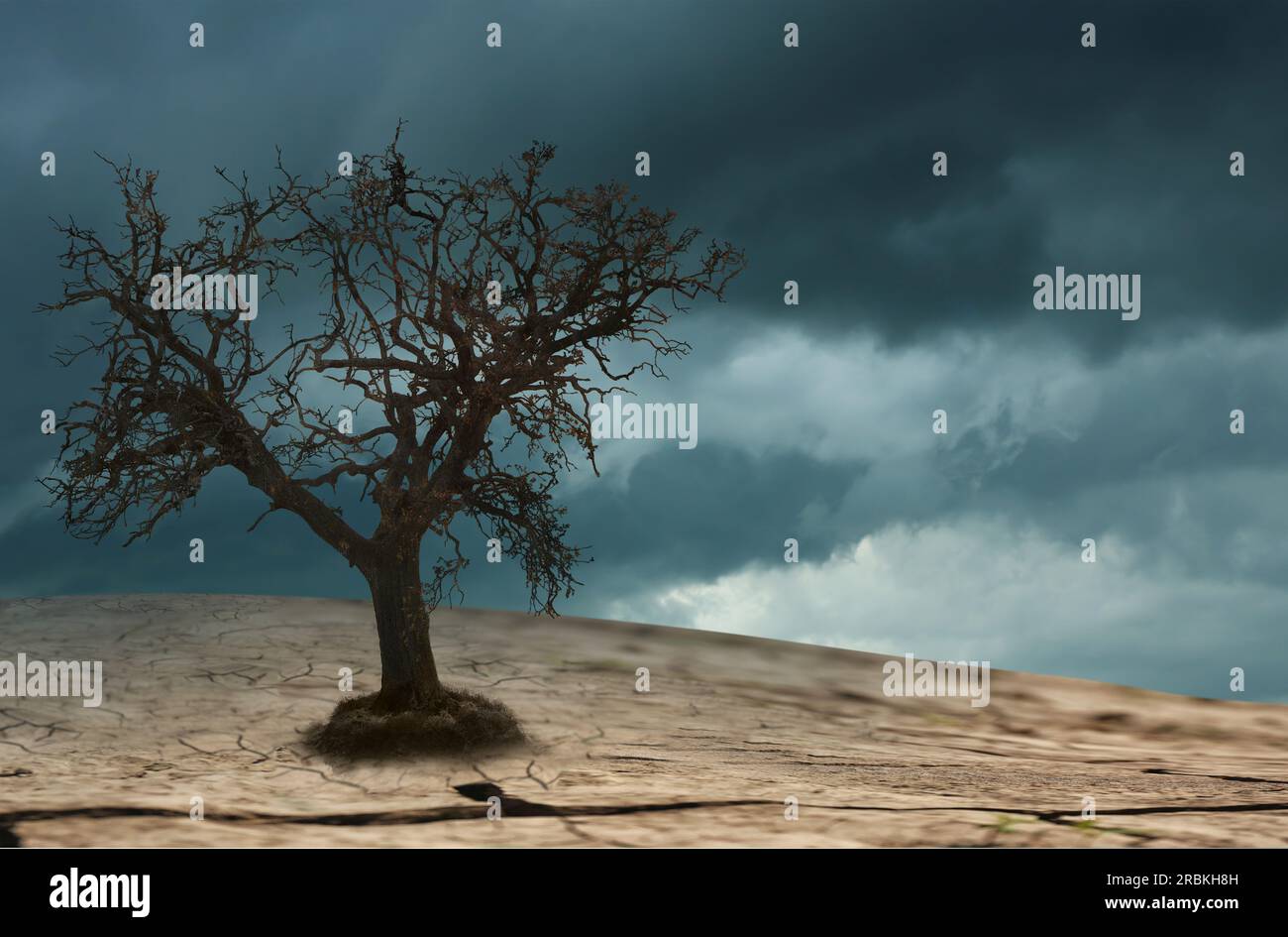 Dry tree among desert parched soil under cloudy sky. Landscape ...