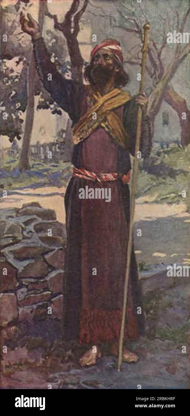 The Prophet Zechariah 1888 by James Tissot Stock Photo - Alamy