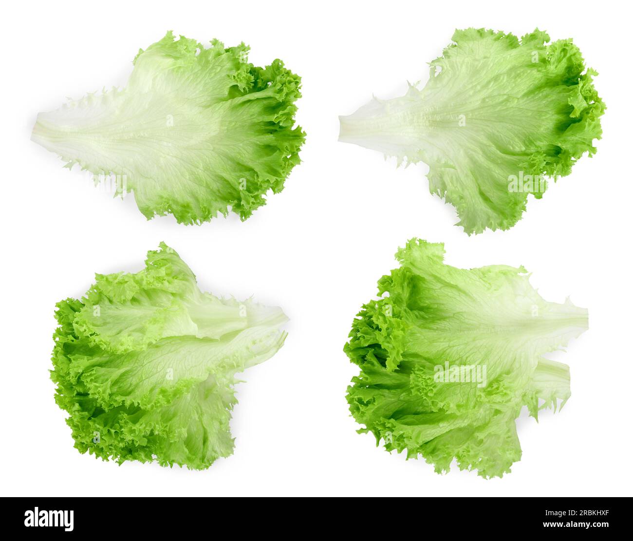 Collage with fresh lettuce leaves on white background Stock Photo - Alamy