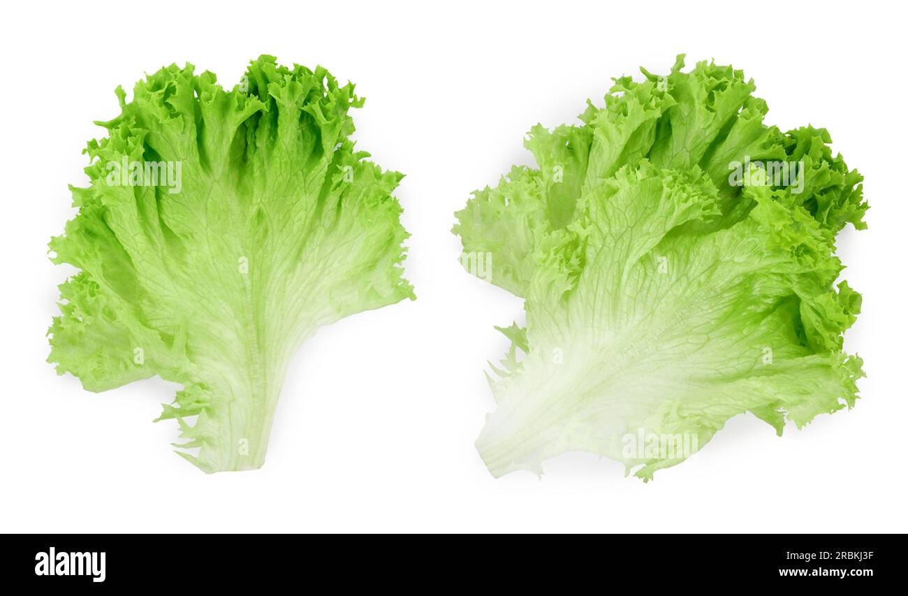 Lettuce leaves on white background hi-res stock photography and images ...