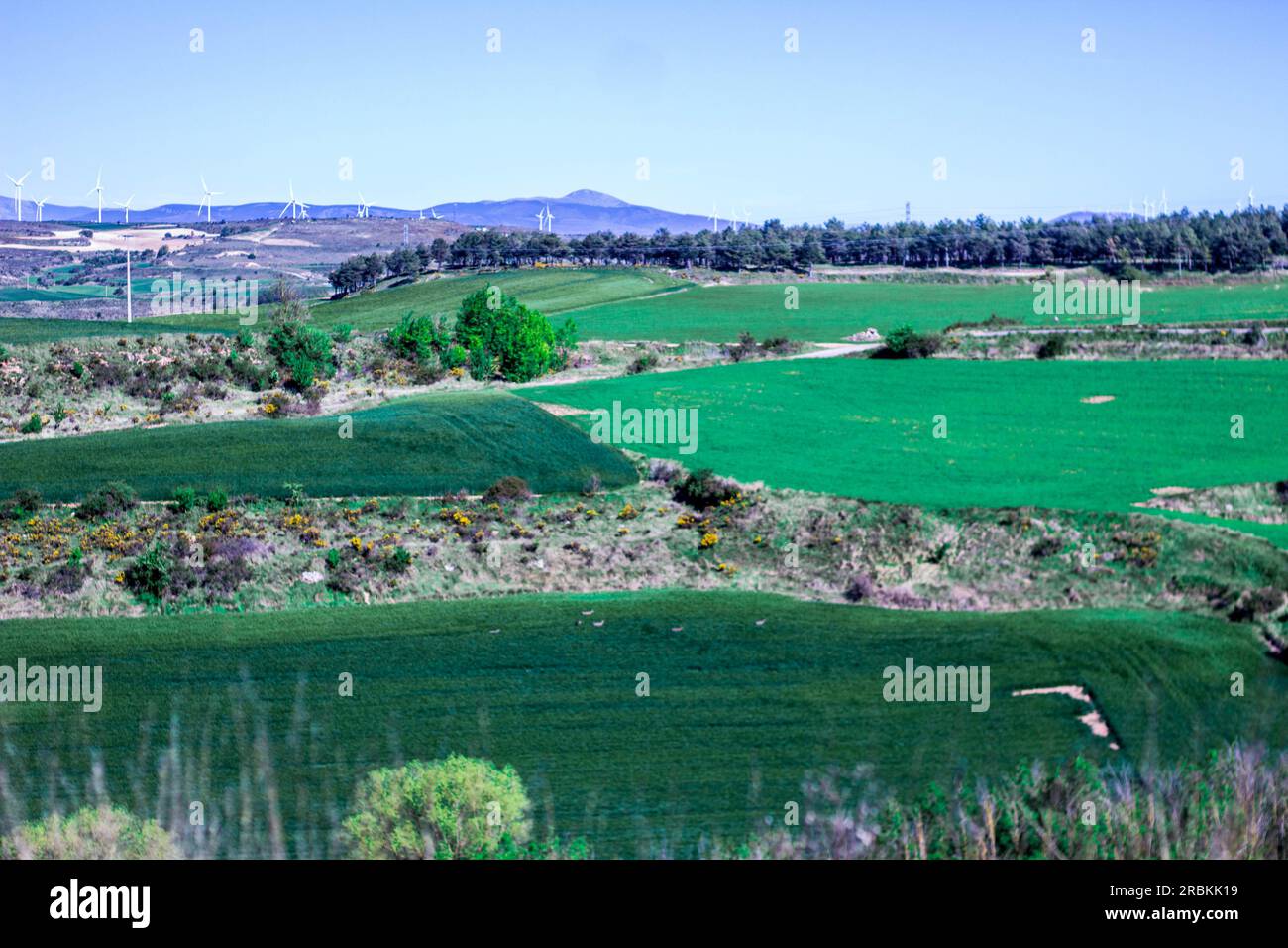 Beautiful countryside landscape green trees hi-res stock photography ...