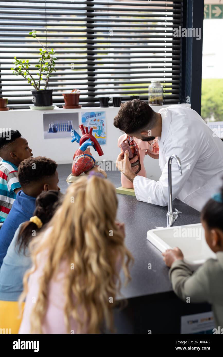 Vertical of diverse elementary school pupils and male teacher studying ...