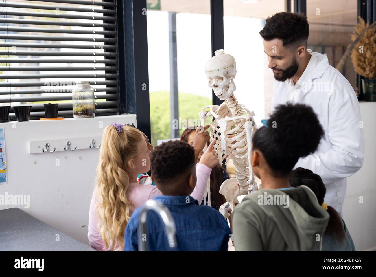 Diverse male teacher and elementary schoolchildren studying skeleton in ...