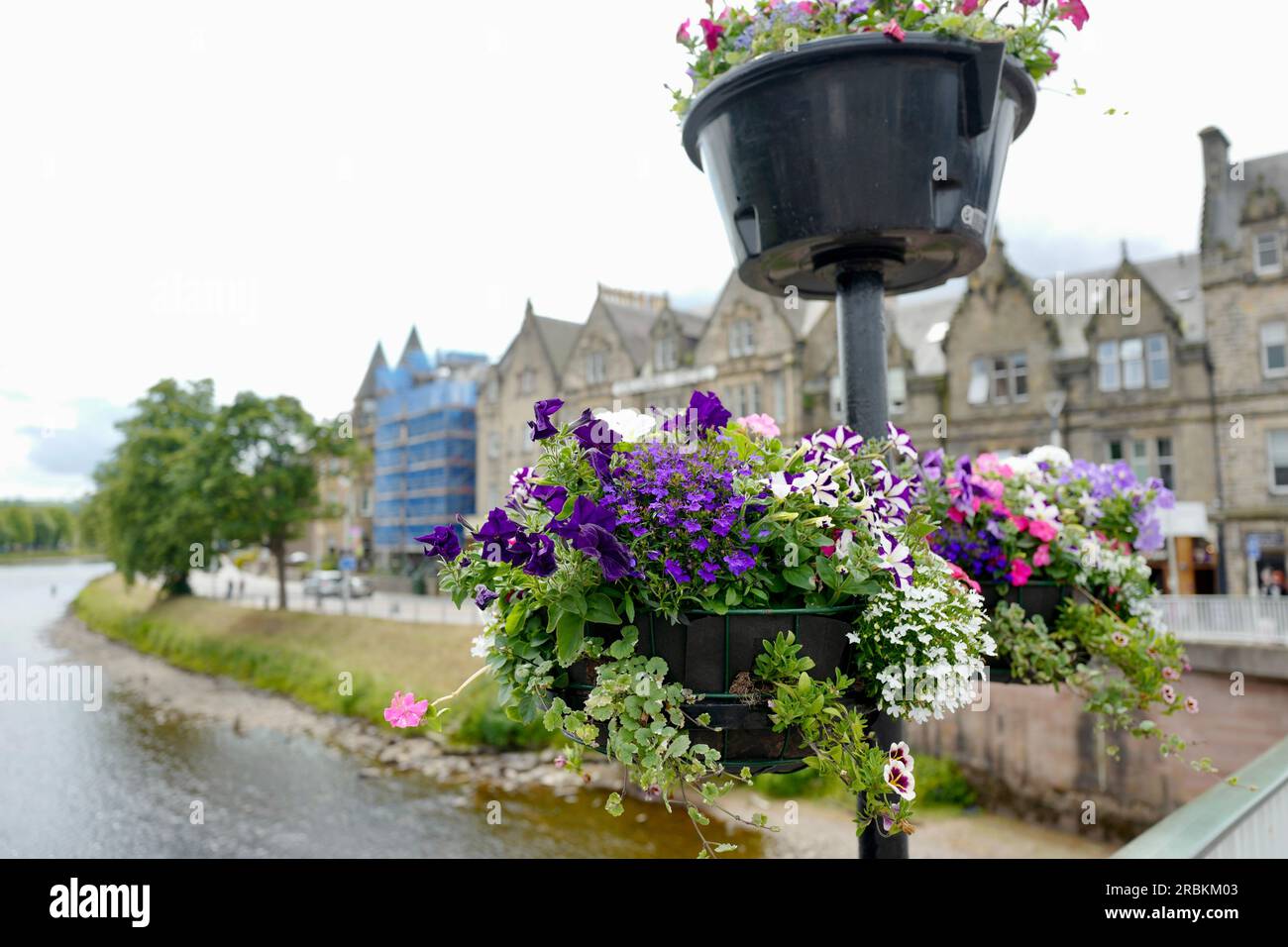 Flower pots on a bridge in Inverness Stock Photo - Alamy