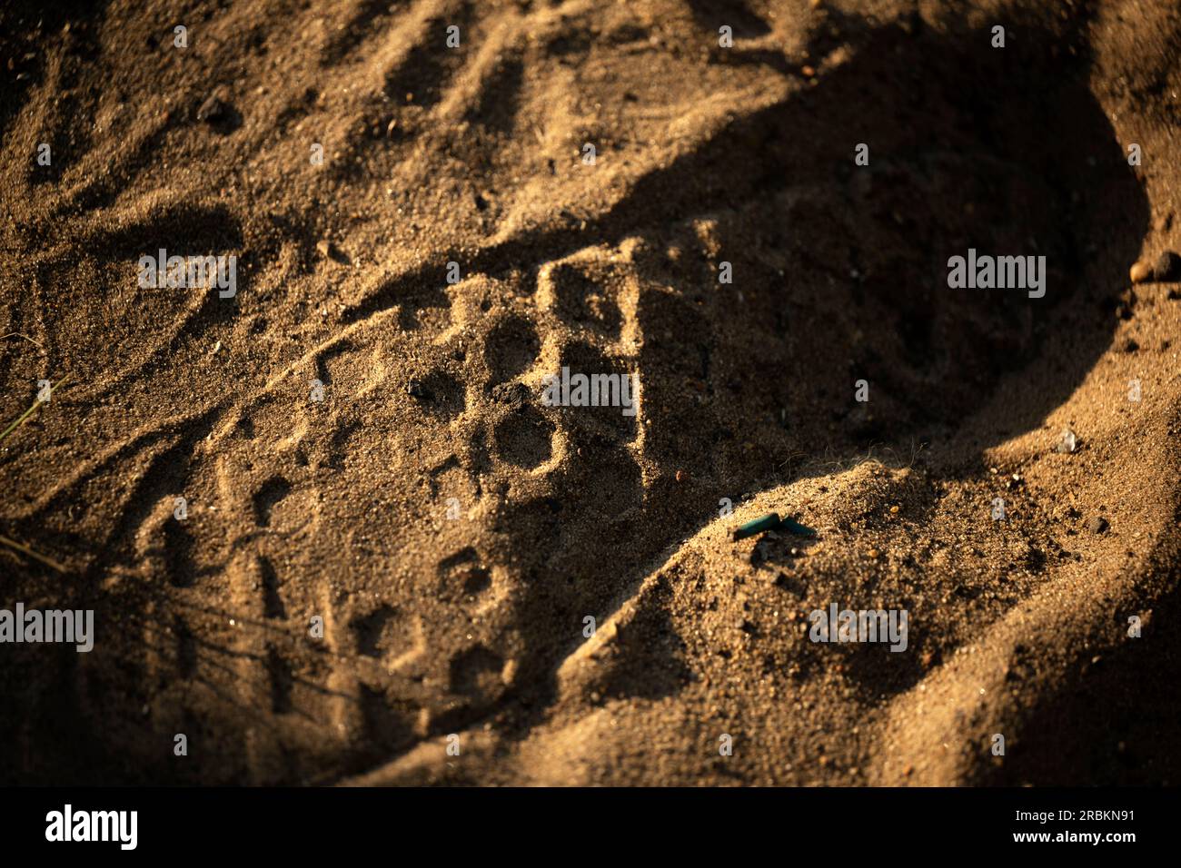 Shoe tread marks in the sand Stock Photo - Alamy