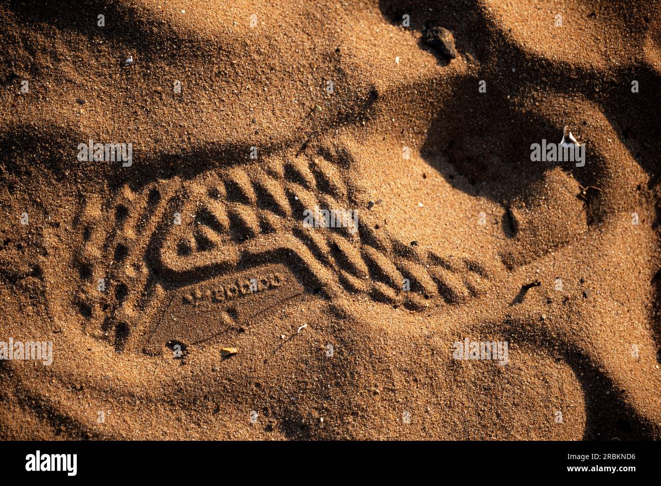 Adidas shoe hi-res stock photography and images - Alamy