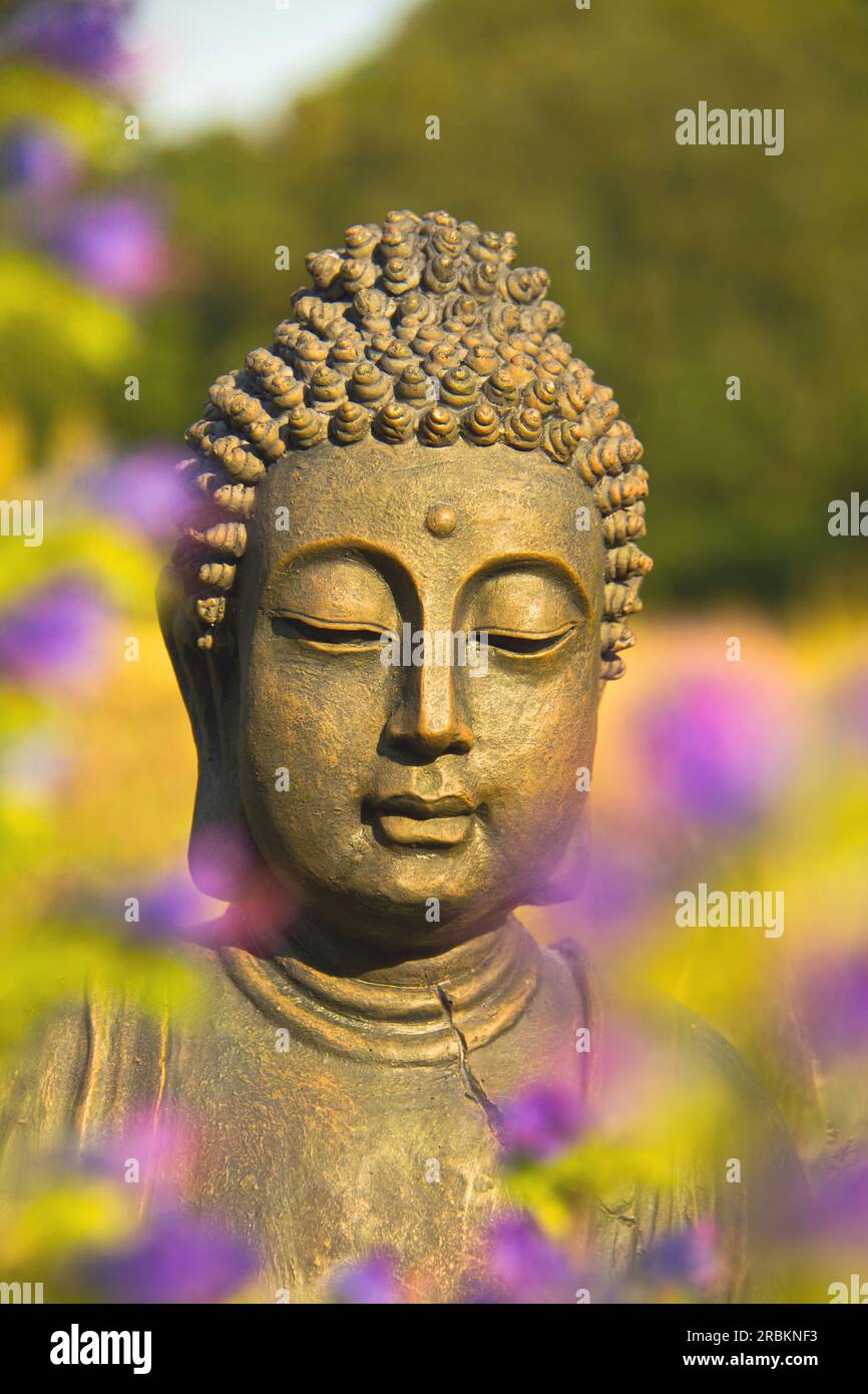 Bronze buddha heads hi-res stock photography and images - Alamy