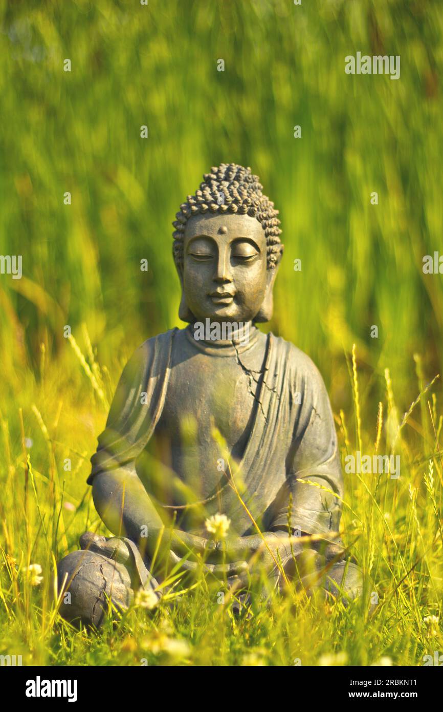 Buddha figure eyes closed hi-res stock photography and images - Alamy