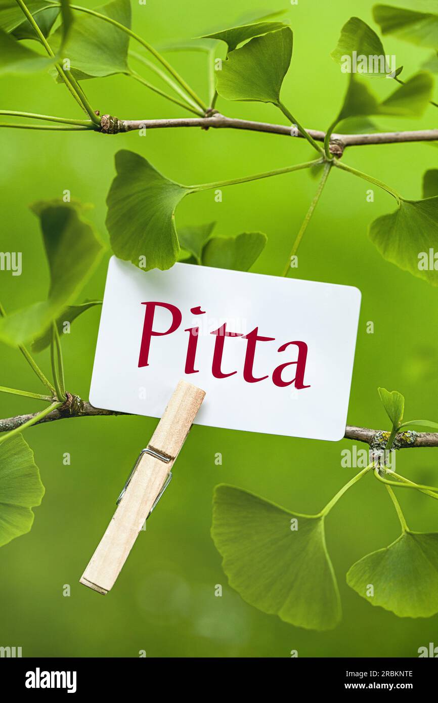 memo sheet at a Ginkgo lettering Pitta Stock Photo - Alamy