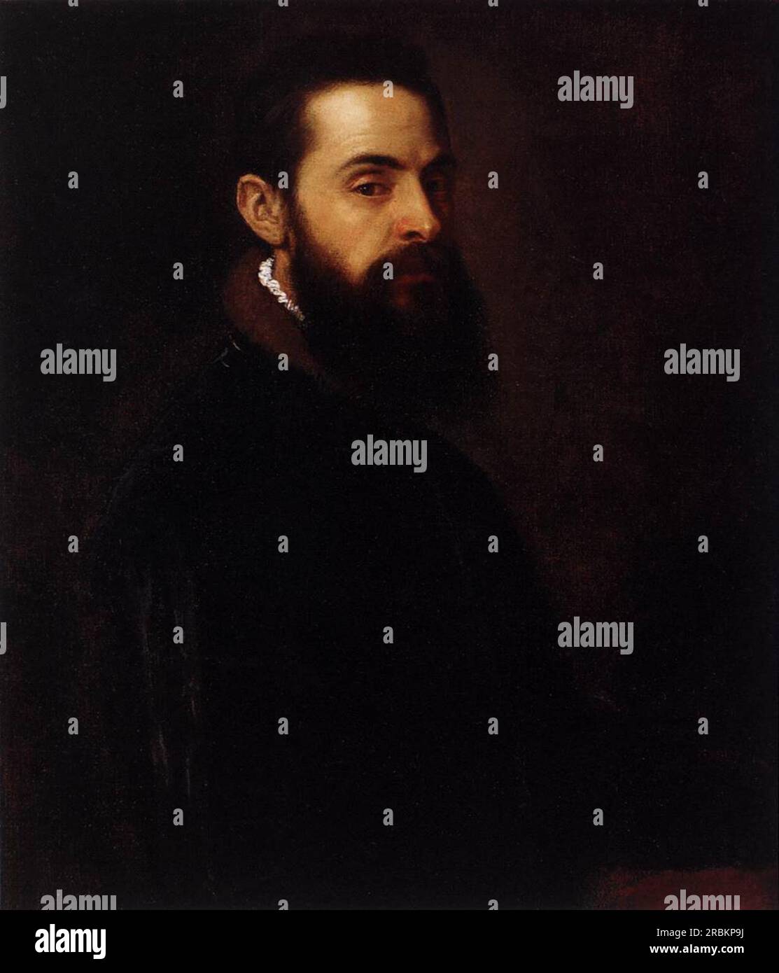 Portrait of Antonio Anselmi 1550 by Titian Stock Photo - Alamy