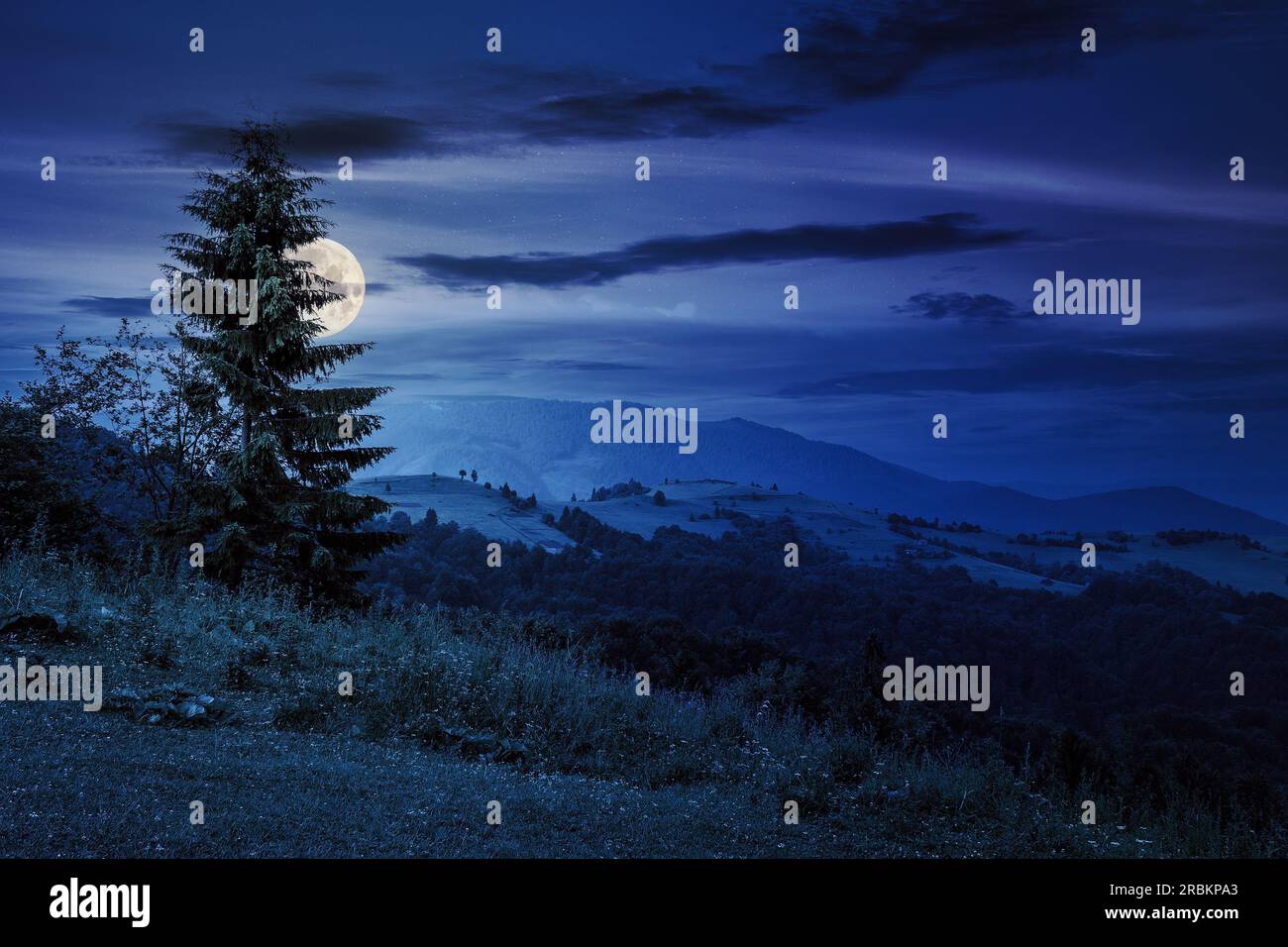 fir tree on the edge of clearing in mountains at night. beautiful ...