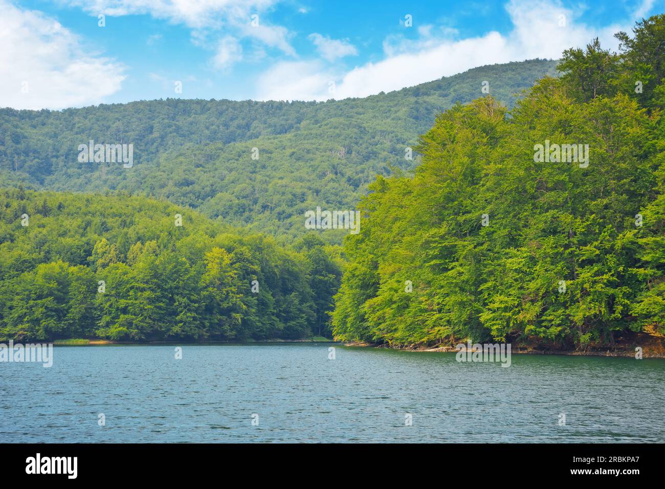 scenery the mountain lake. vacation season in summer. countryside ...