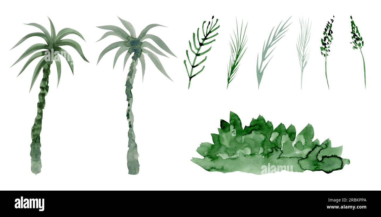 Watercolor simple palm trees and green grass illustration set isolated ...