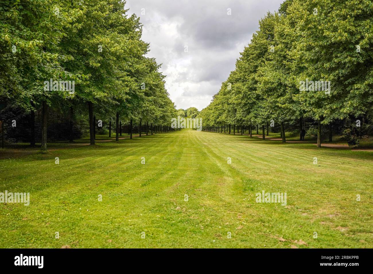 A green trail stretching into the distance. The road to a brighter ...