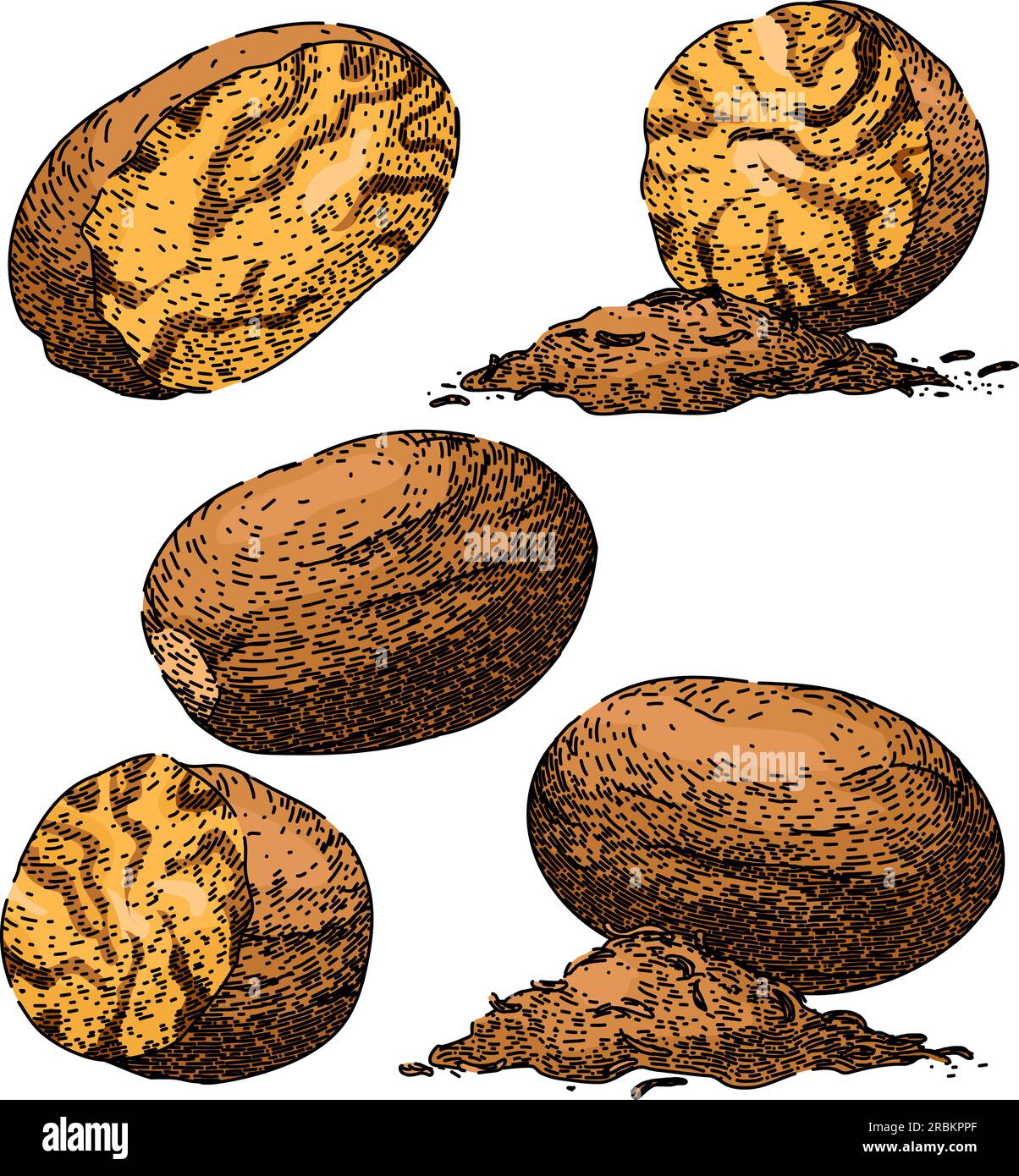 Grated nut Stock Vector Images - Alamy