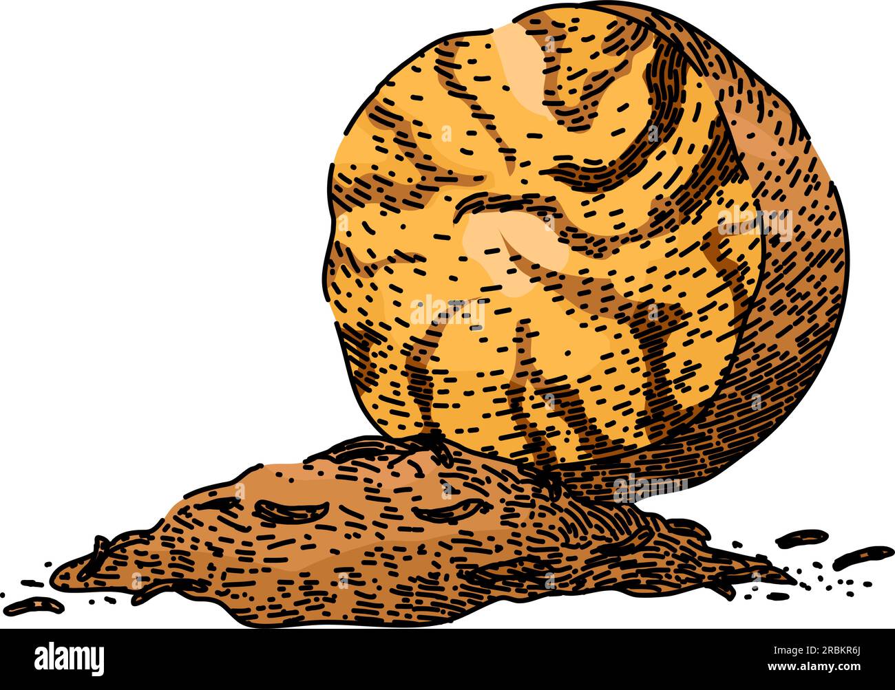 ground nutmeg spice sketch hand drawn vector Stock Vector Image & Art ...